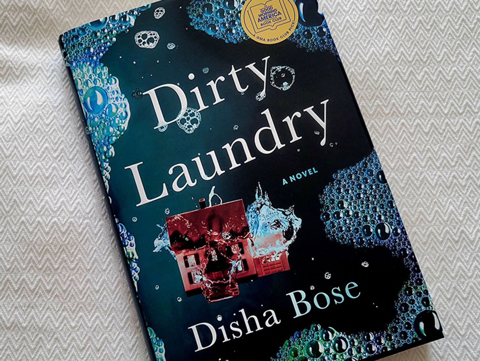 Allison’s Book Report — "Dirty Laundry" by Disha Bose