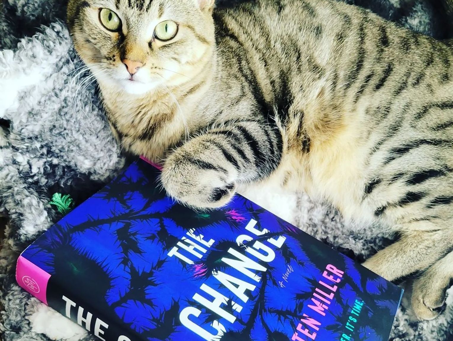 Allison's Book Report: “The Change” by Kirsten Miller