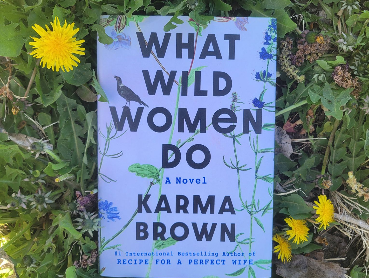 Allison’s Book Report - “What Wild Women Do” by Karma Brown