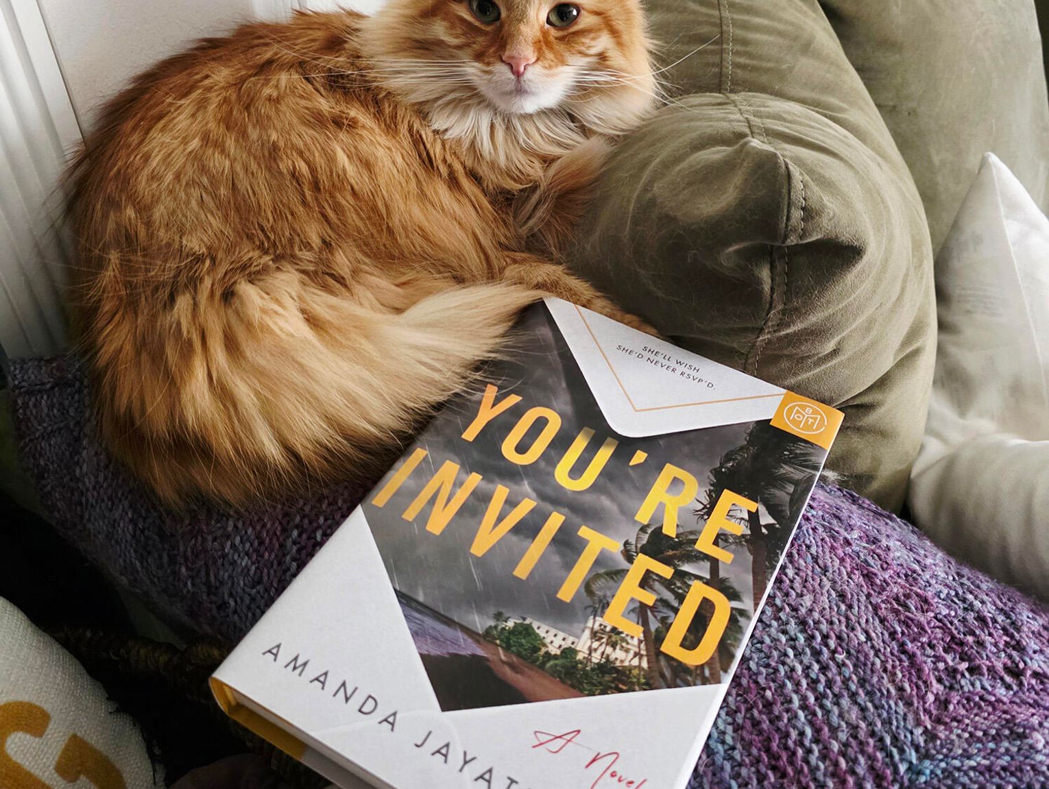 Allison's Book Report - You're Invited by Amanda Jayatissa's