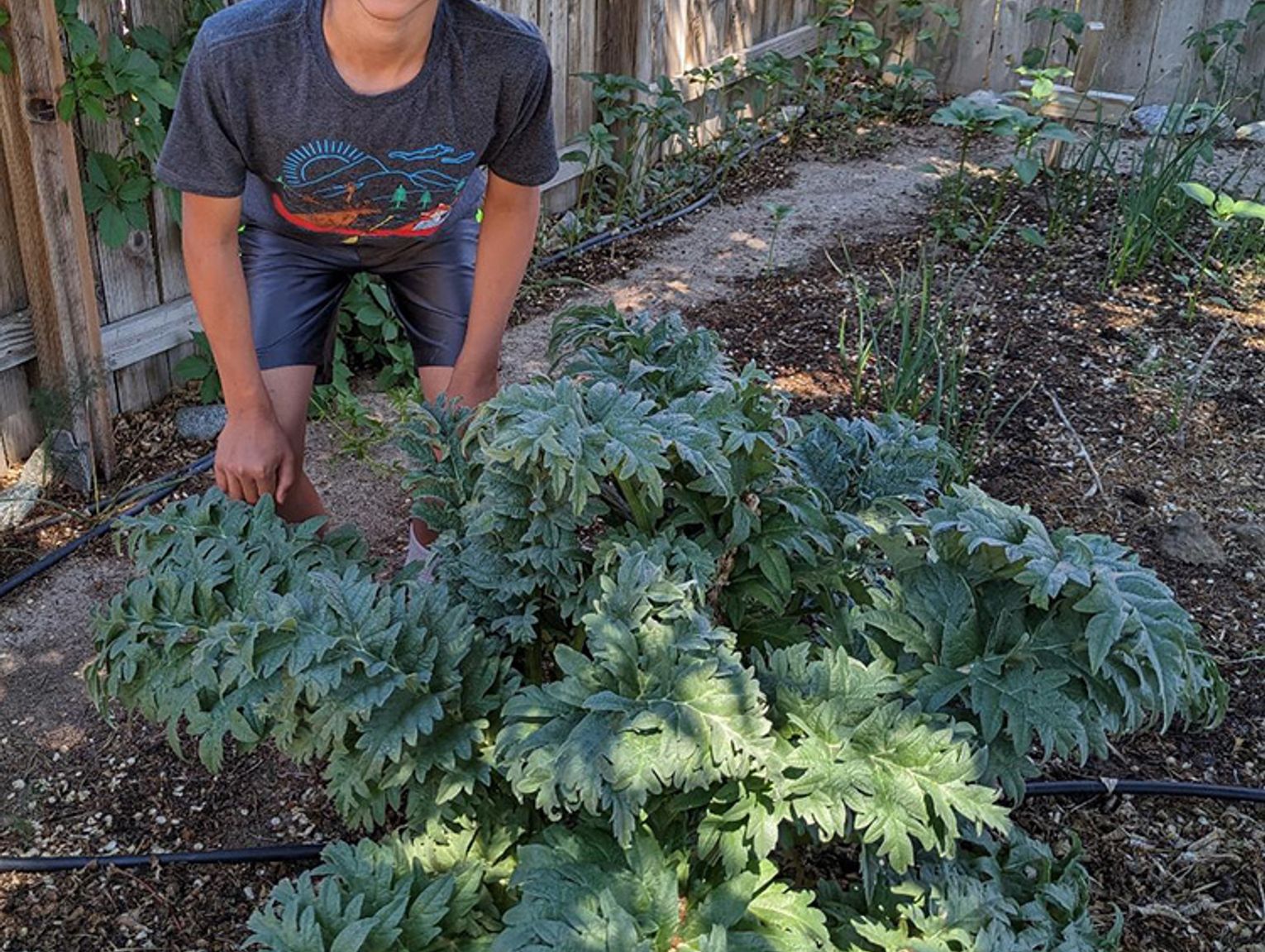 An Early Slant Towards Plants