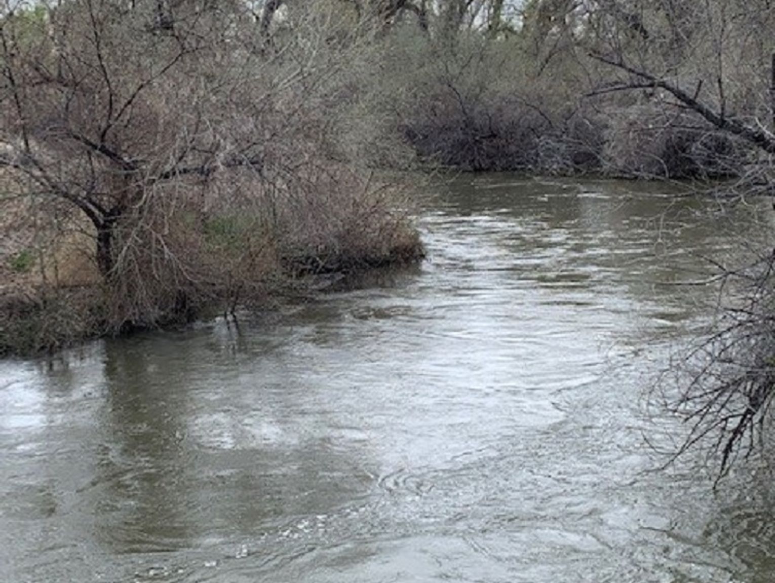 Ask the Owl – The Carson River