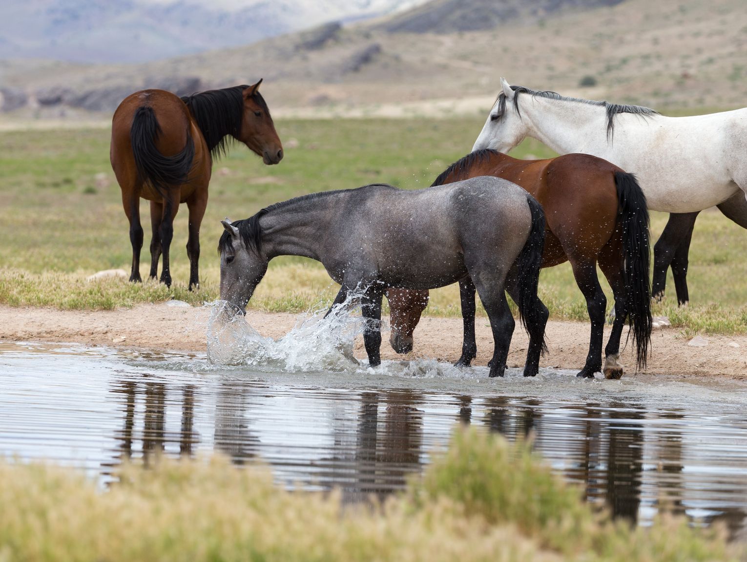 BLM Updates County on Federal Land Actions