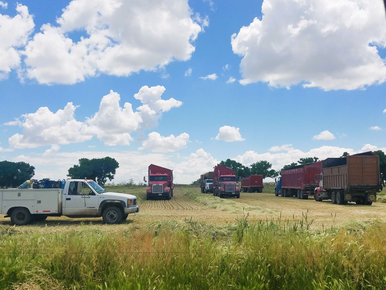 Commentary - Passing the New Farm Bill