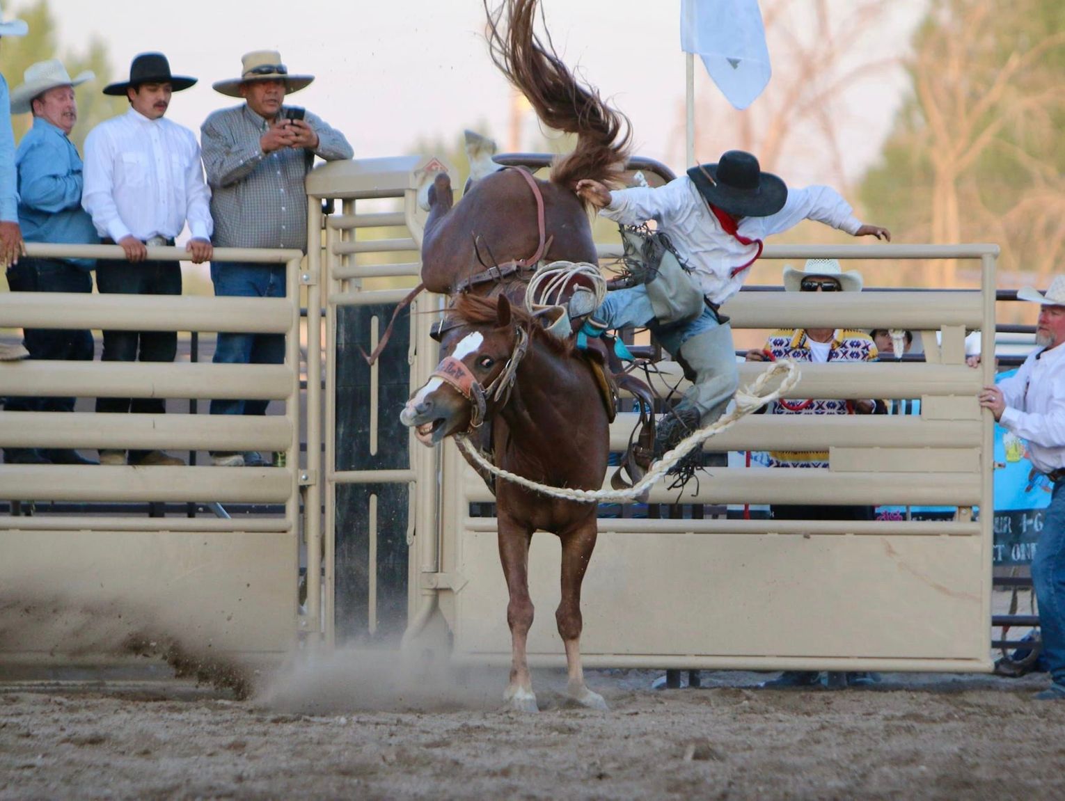 de Golyer’s Bucking Horse and Bull Bash Celebrates Ten Years