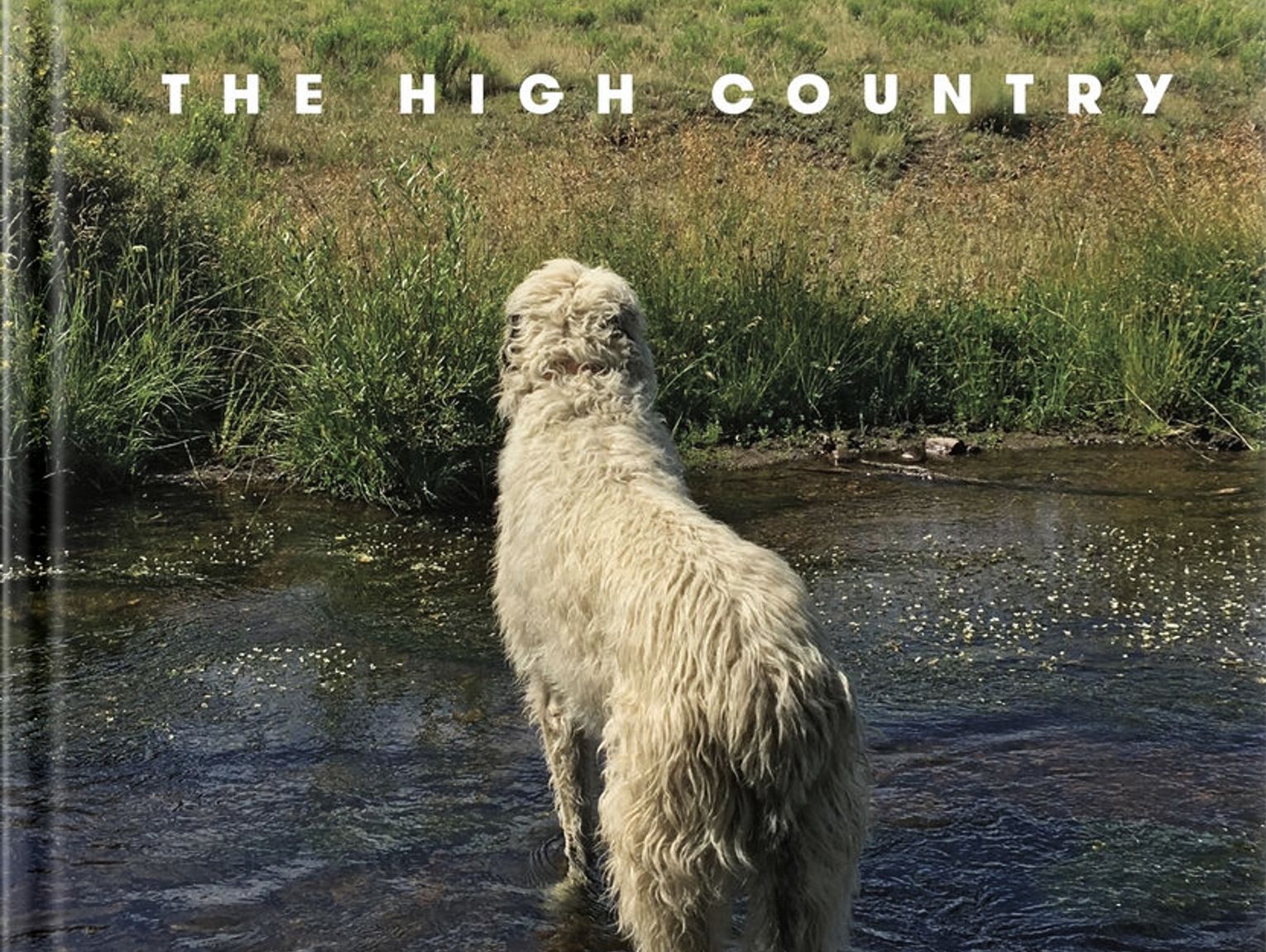 Deep Creek: Finding Hope in the High Country — by Pam Houston