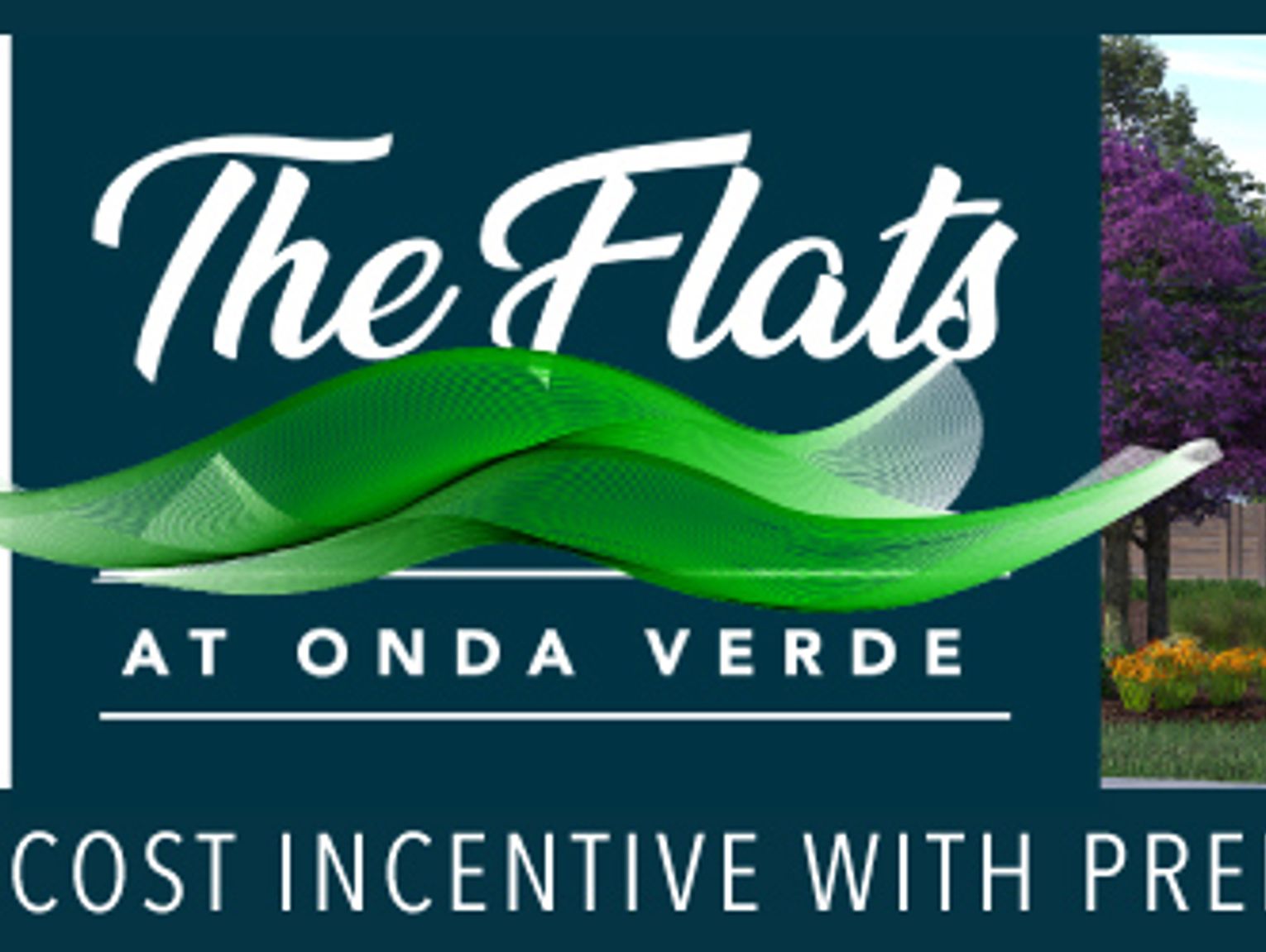 Edith -- on repotting house plants