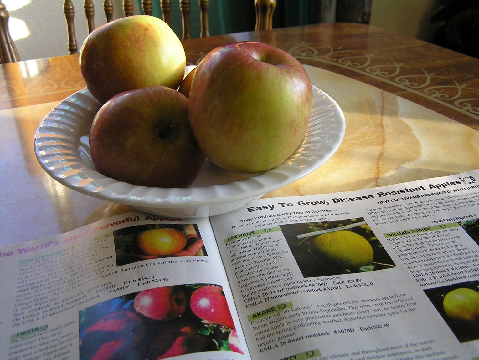 Edith — on the fruit trees
