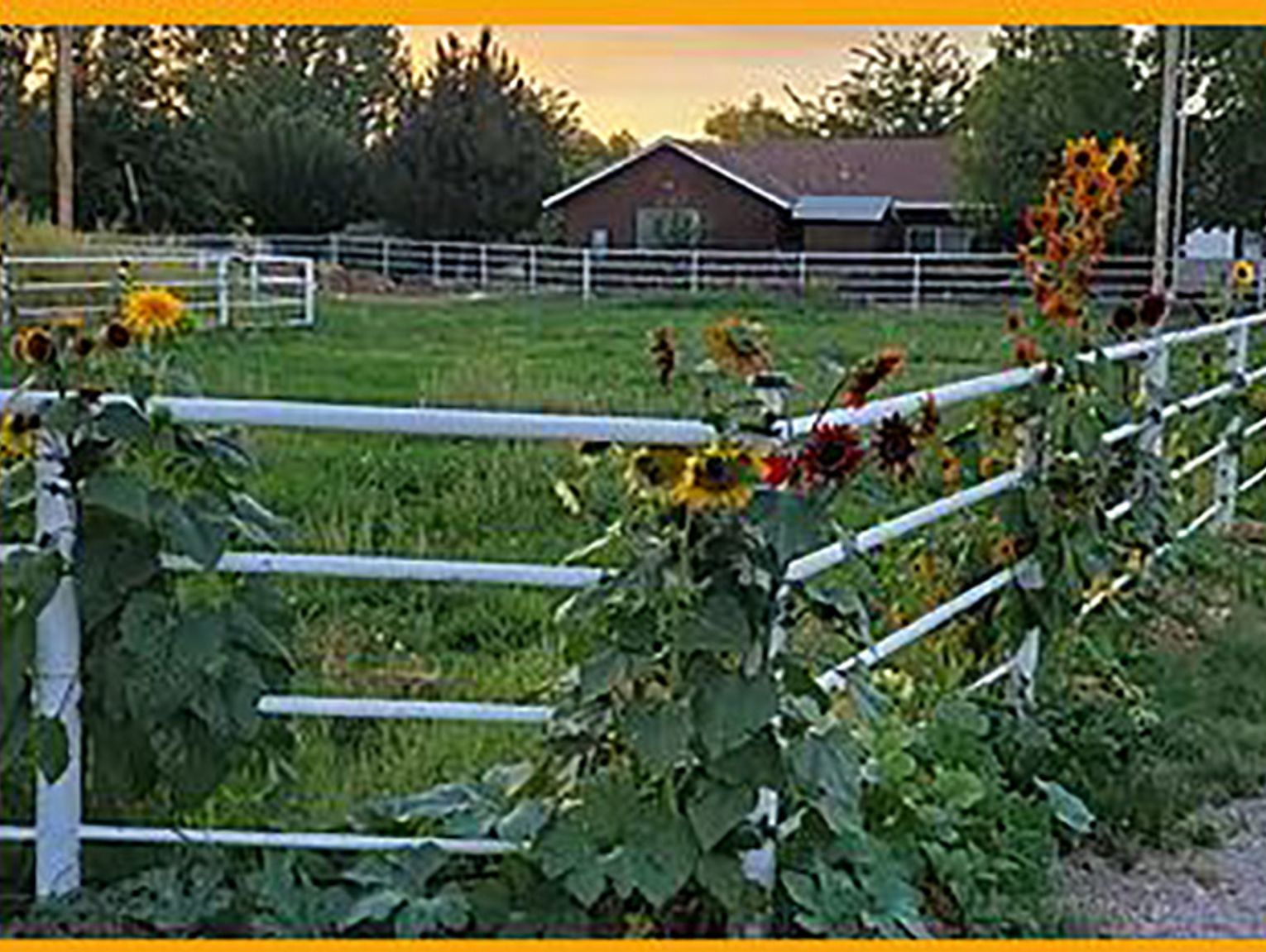 Fisk Farm Selected for Farm2Food Accelerator Program