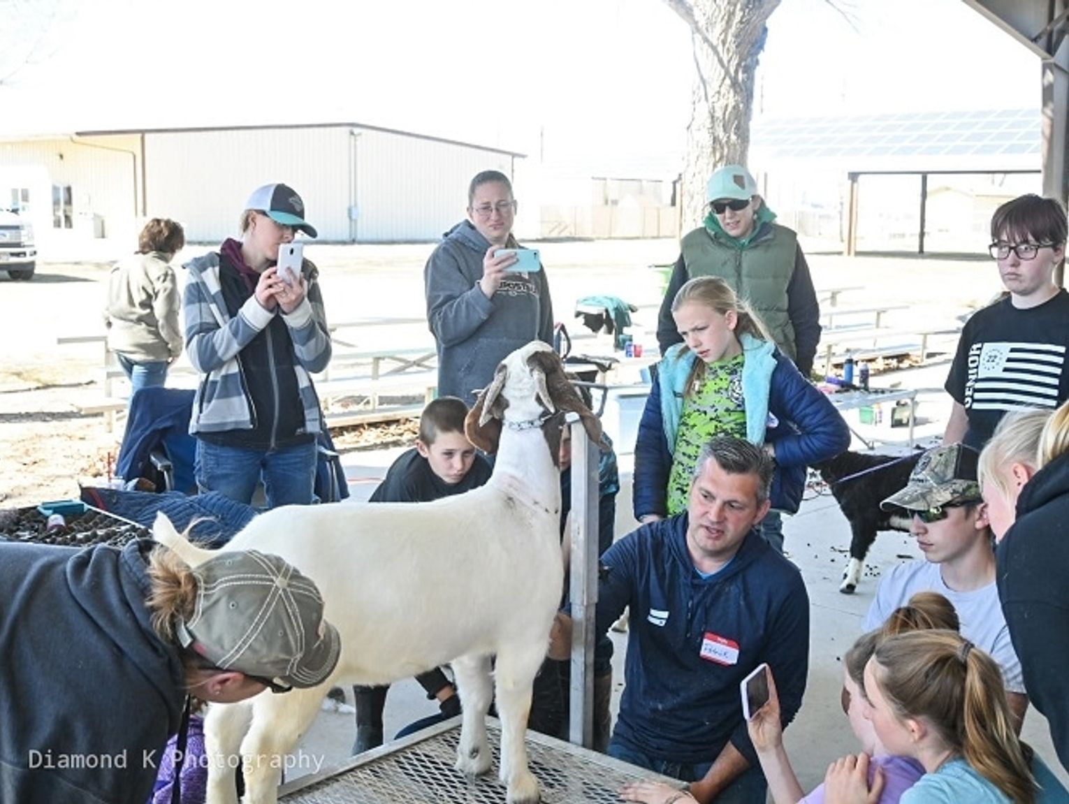 Fitting Clinic Prepares Grange Youth to Show at State and Local ...