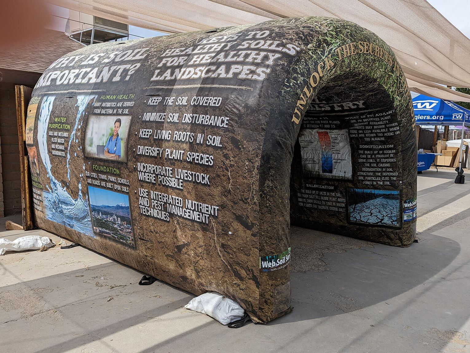 Get Moo-ving! Ag Experience Returns to Cantaloupe Festival