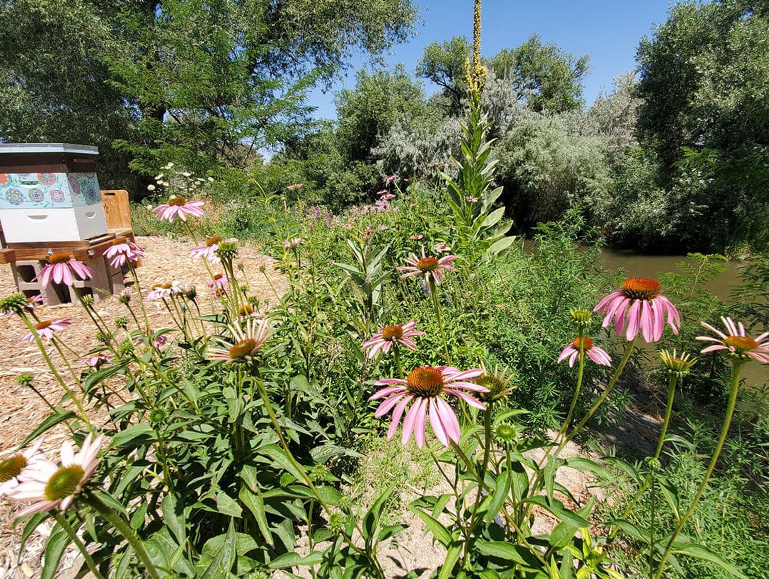 Grant Funding Available for Food Systems Business