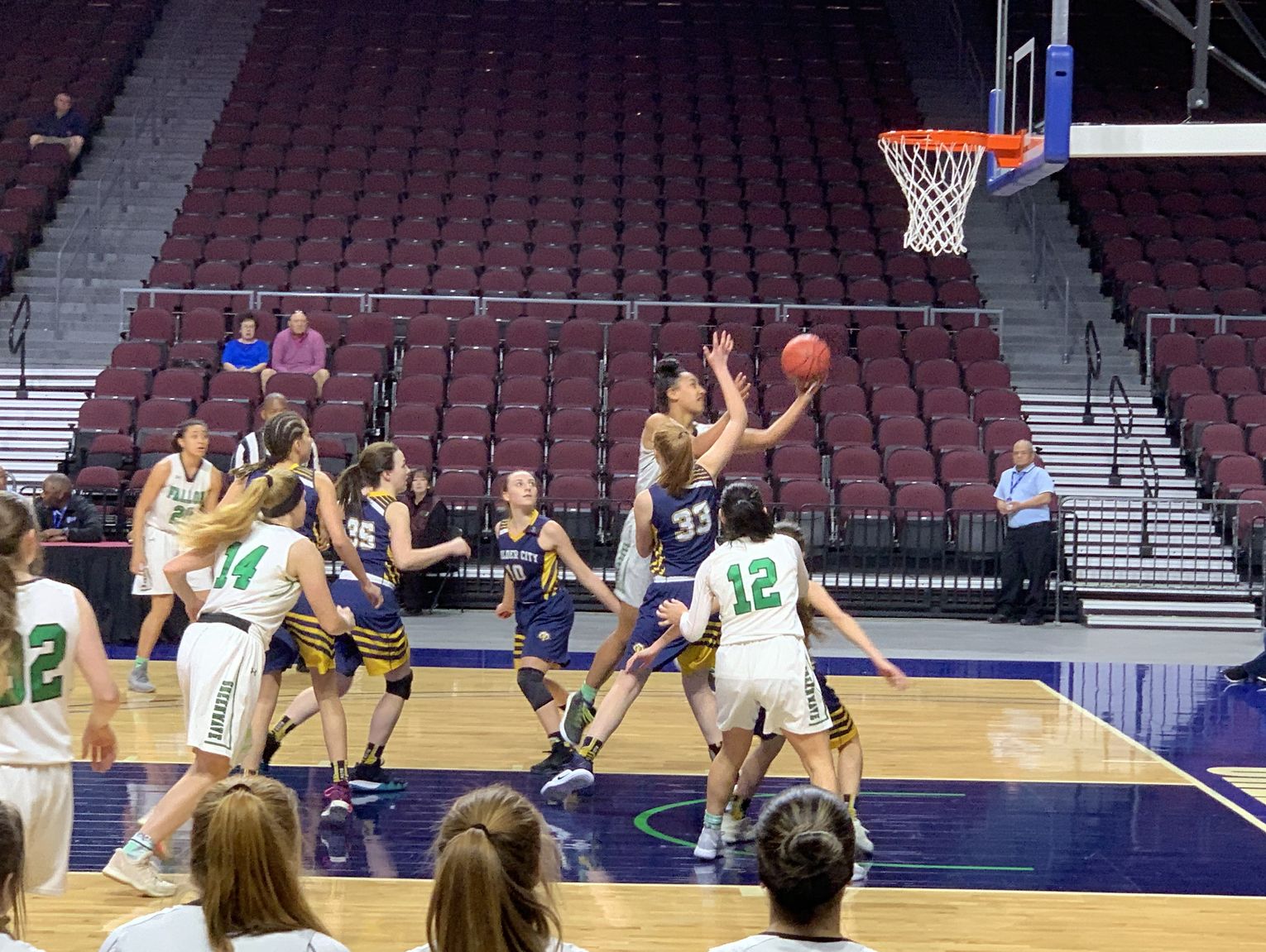 Greenwave Successful in Semi-Finals