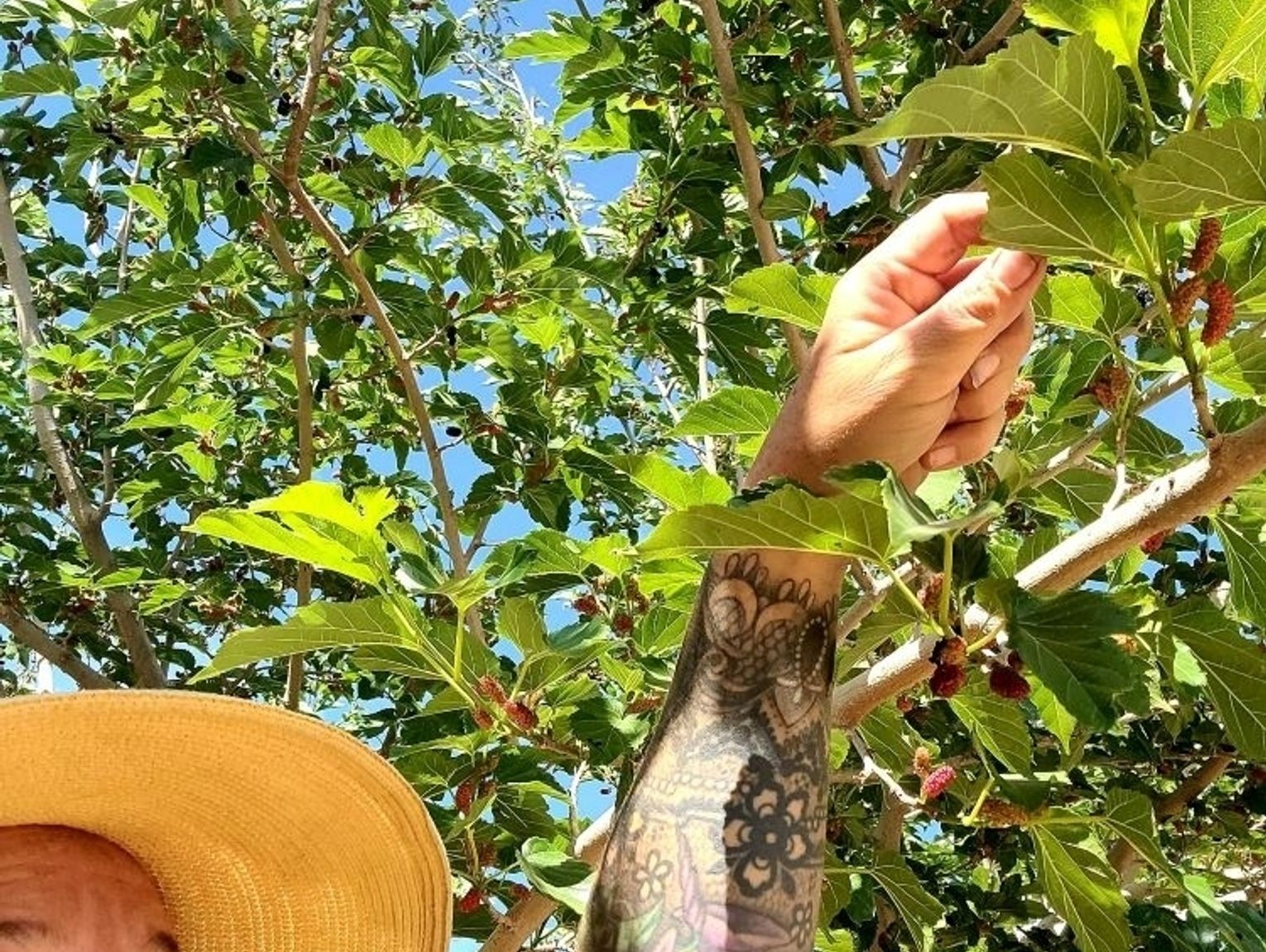 High Desert Dirt - The Raven's Rant