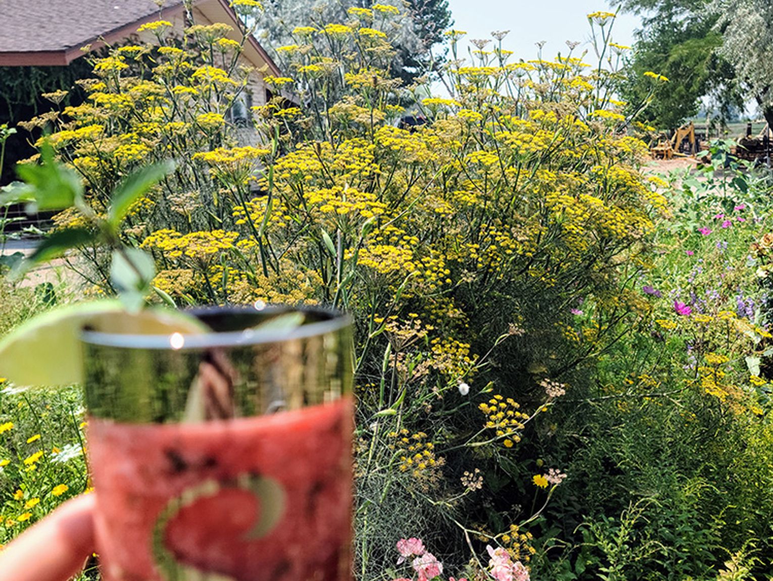 High Desert Dirt - The Raven's Rant