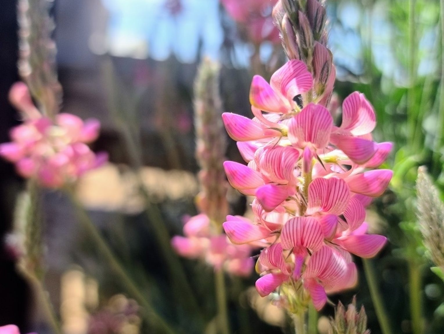 High Desert Dirt - The Raven's Rant