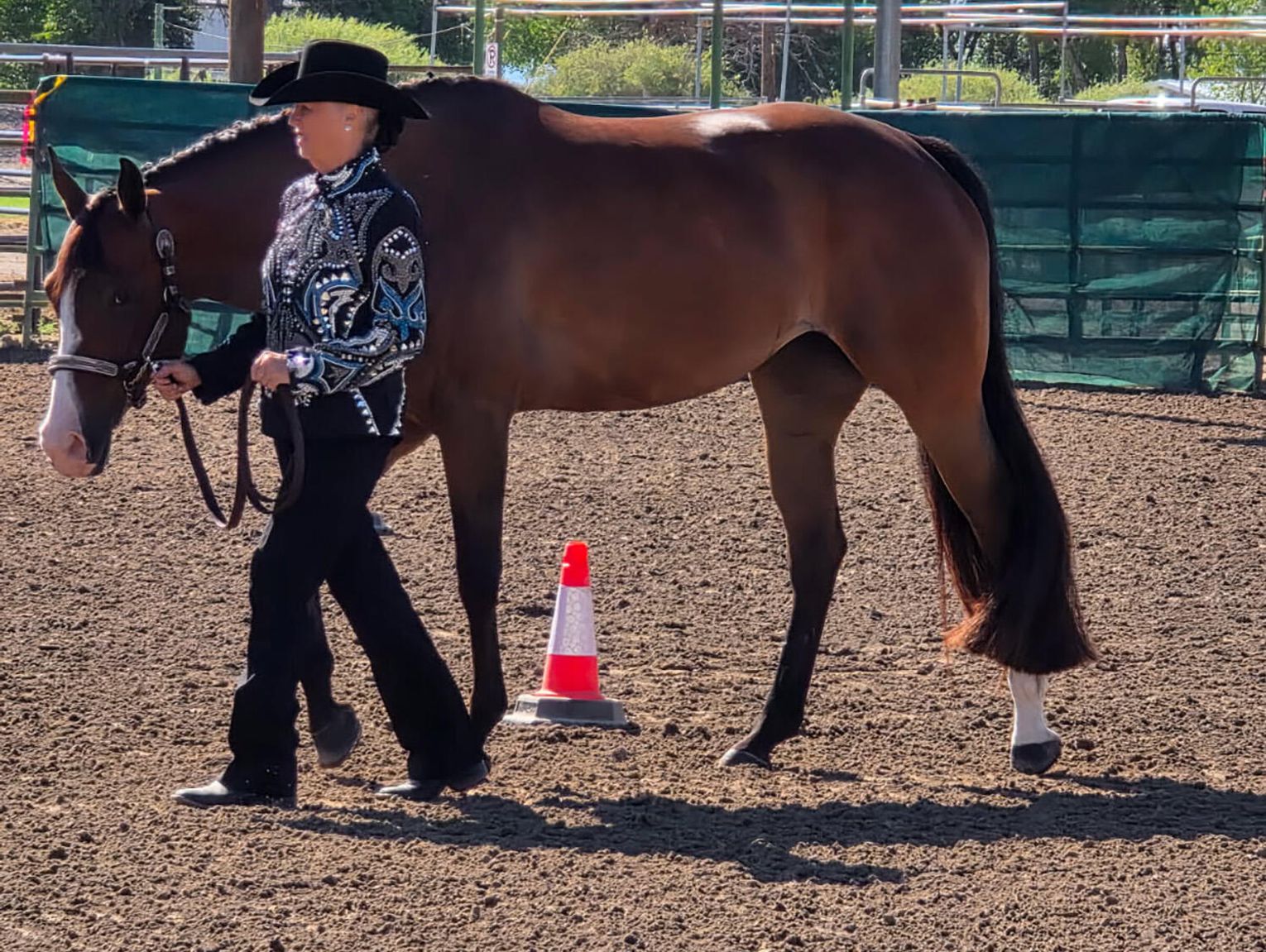 Nevada Paint Horse Club Hosts Two-Day Show in Fallon