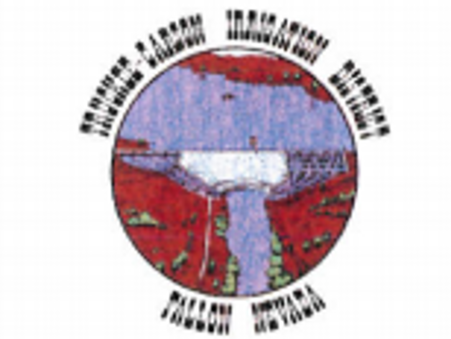 Notice of Declaration of Candidacy for TCID Directors