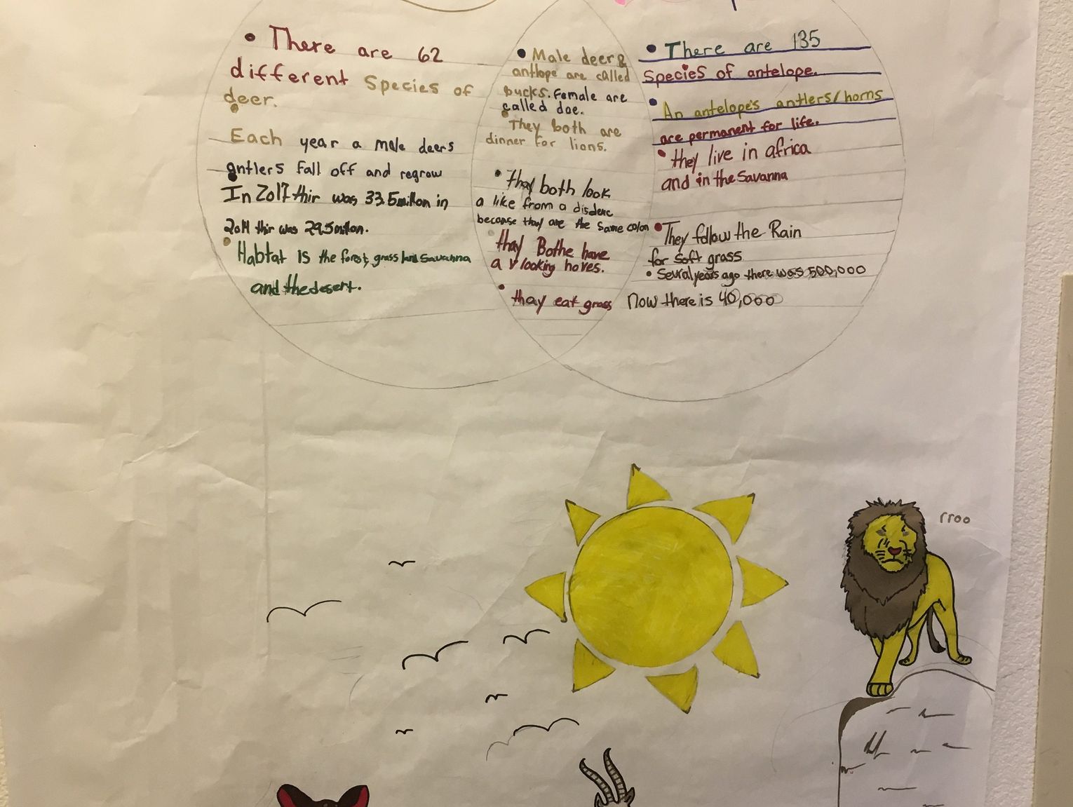 Numa 5th graders make poster presentations
