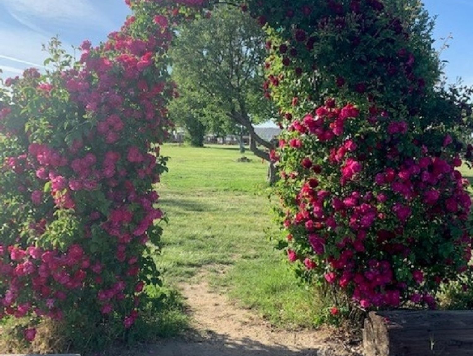 Obituary — Jon H. Bode