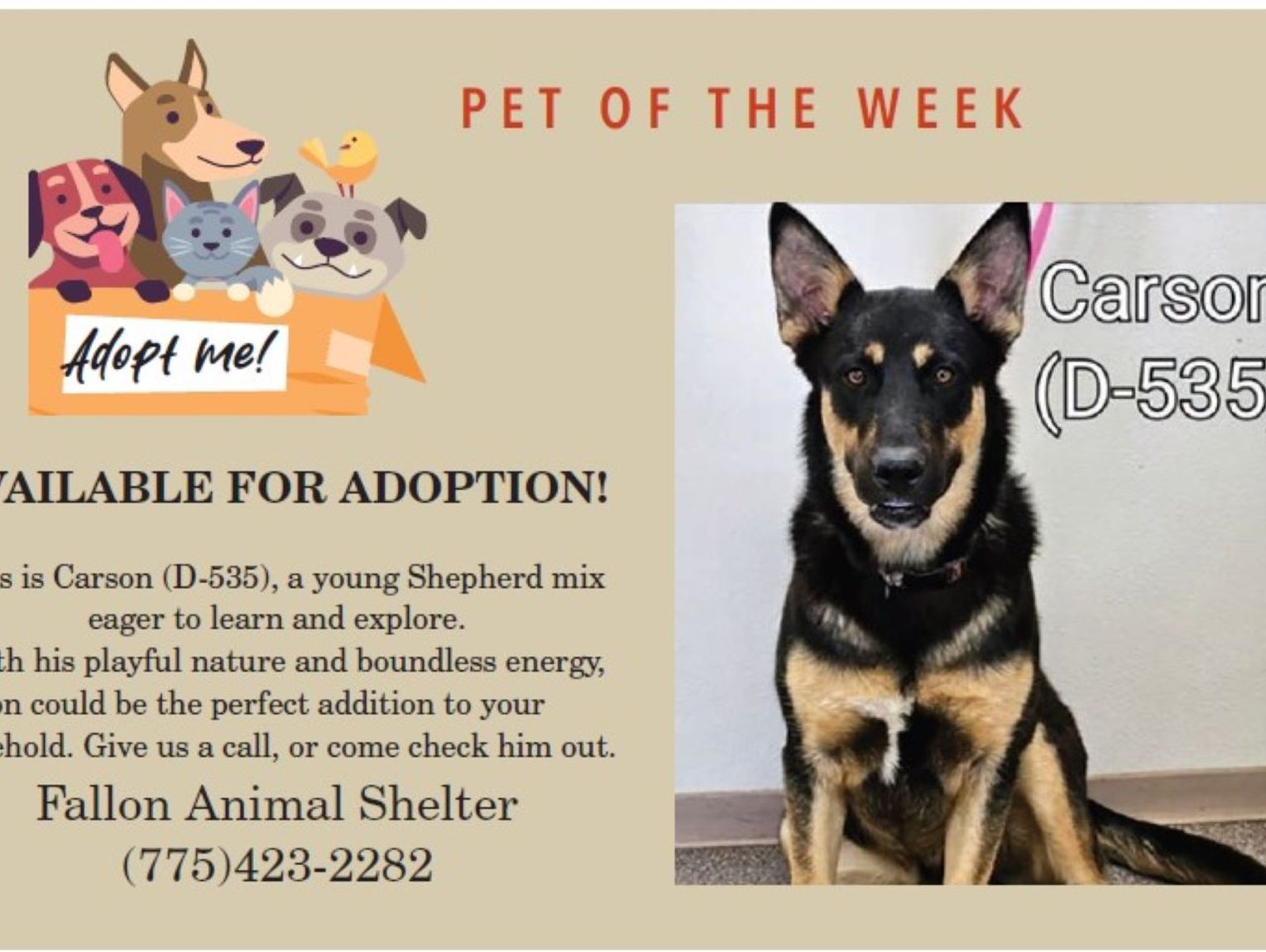 Pound Puppies - Meet Carson